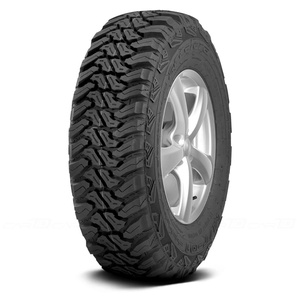 Accelera MT-01 Tire: rating, overview, videos, reviews, available sizes ...
