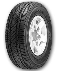 Neuton NS 1000 Tire: rating, overview, videos, reviews, available sizes ...